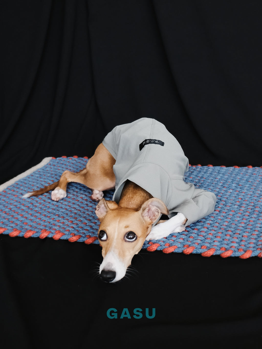 GASU Svelte / [5 Colors] Elastic Nylon 2-Leg Shirt