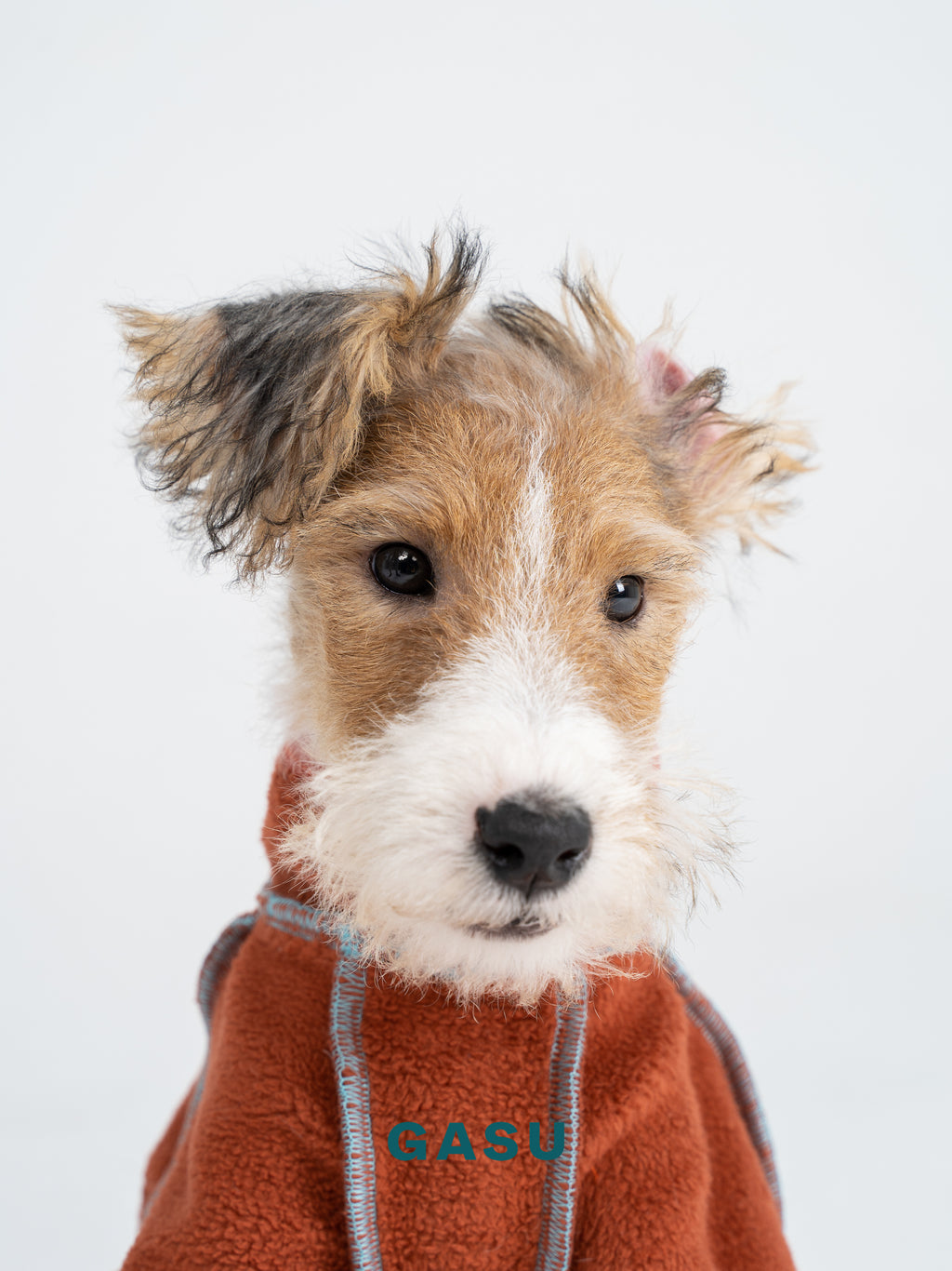 GASU Secret / [Persimmon] 2-sided Detachable 4-Leg Jumpsuit