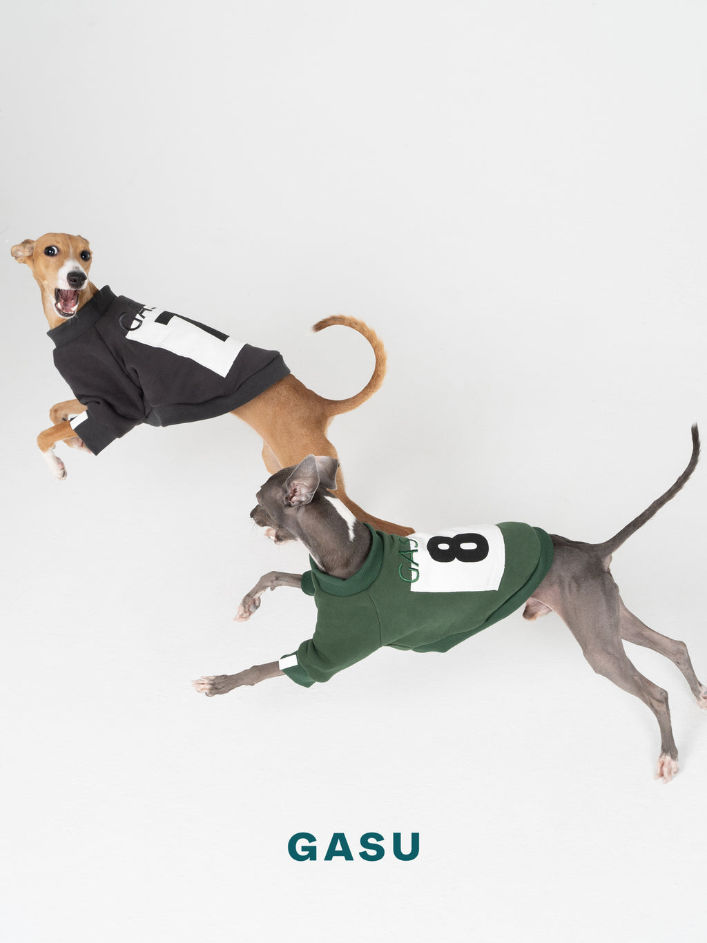 GASU Athlète / [5 Colors]GASU Games 2-Leg Tee